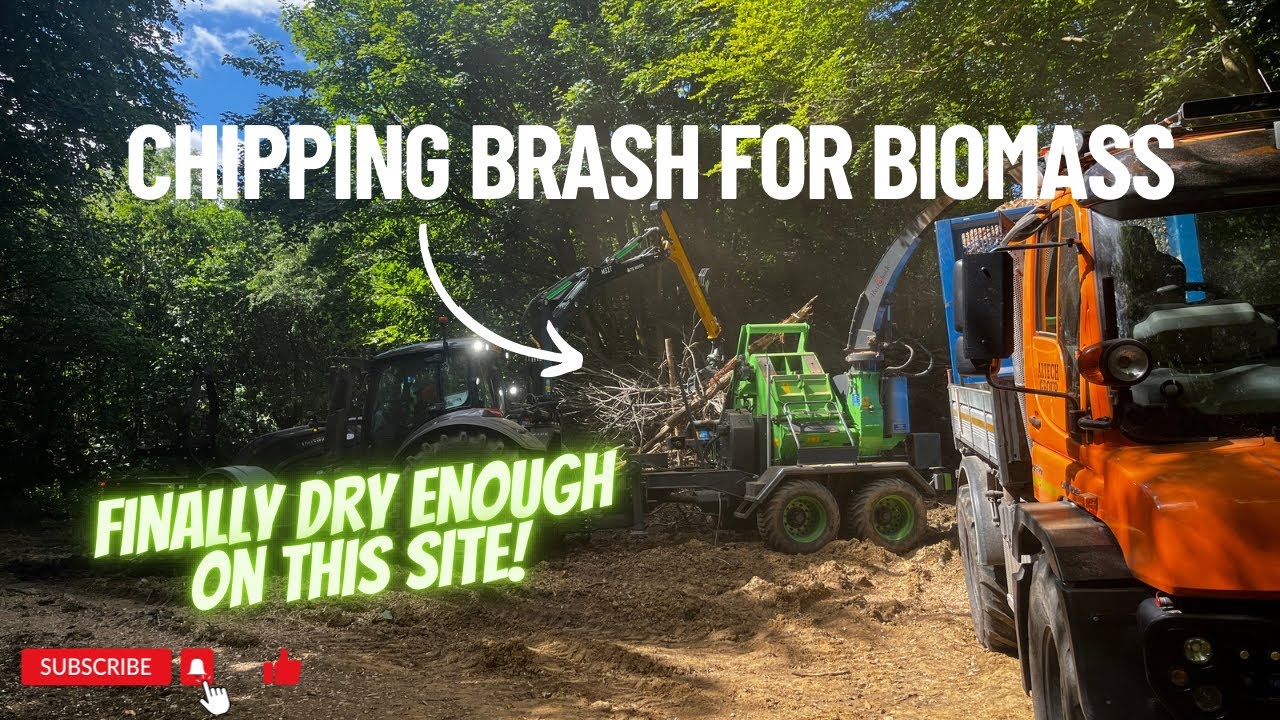 Day 114 - Chipping Brash - YouTube