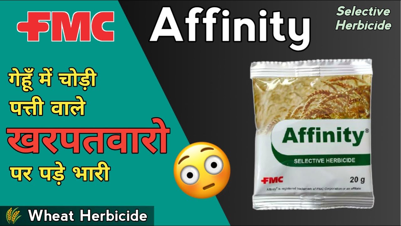 FMC Affinity Herbicide | गेहूं में चौड़ी पत्ती वाले खरपतवार के लिए ...