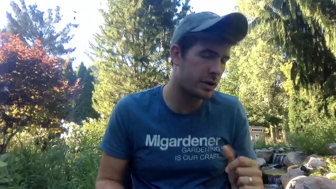 Garden Chat Hangout Answering Your Garden Questions - YouTube