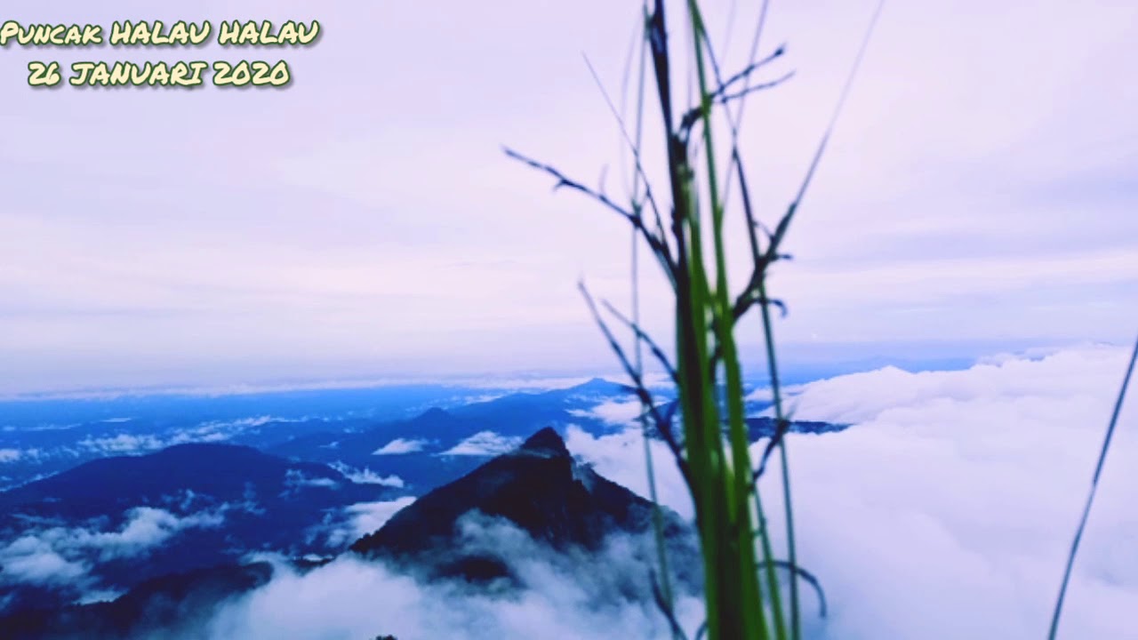 GUNUNG HALAU HALAU TERTINGGI KALSEL BERHANTU TAPI LEBIH SERAM YANG DI ...