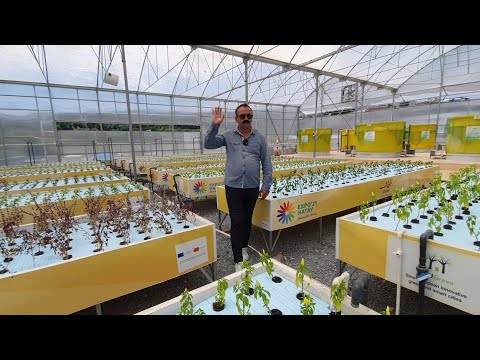 aqaponic topraksız balıkla bitki yetiştirme serası Hatay Büyükşehir Belediyesi Expo 2021