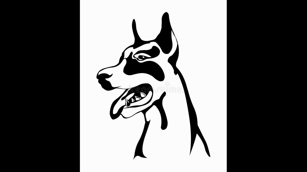 doberman barking sound (HD) - YouTube