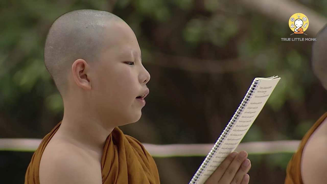 True Little Monk l Daily Highlight EP.11 - YouTube