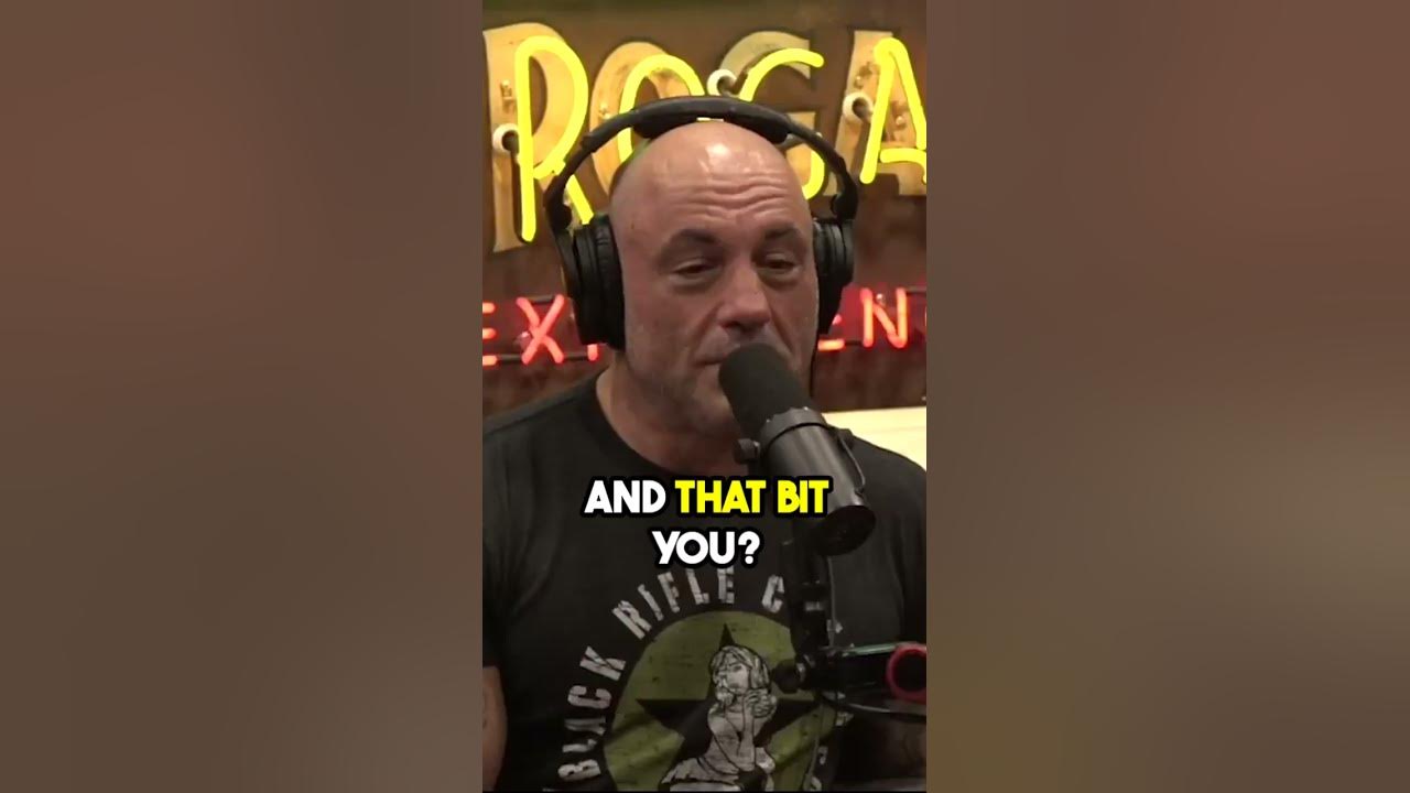 Joe Rogan With Python Cowboy On How To Catch A Giant Python In The ...