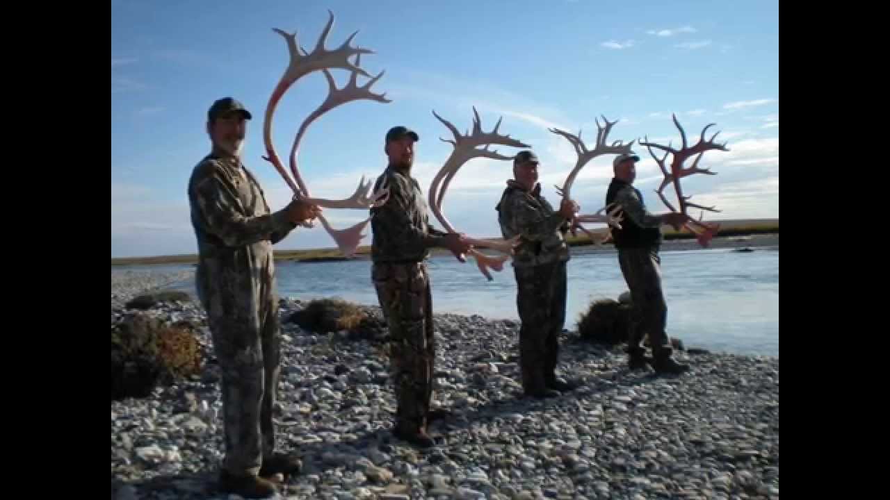 Caribou hunt on the north slope of the Brooks Range, Alaska in 2010 ...