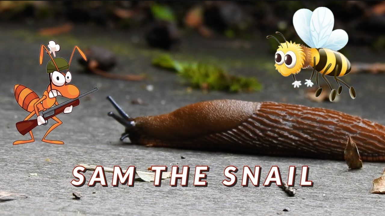 Sam The Snail 🐌 Short Film - Nikon CoolPix P900 - YouTube