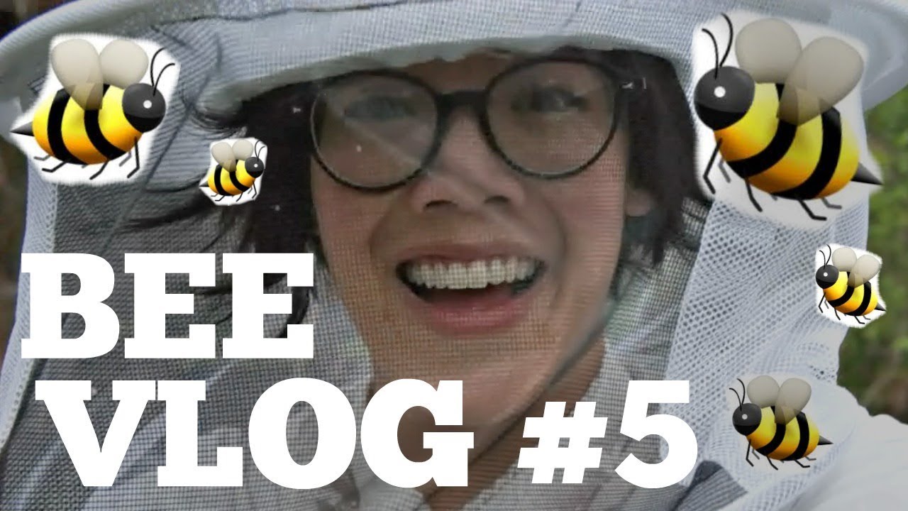 Bee VLOG #5 | WEEK 3 Hive Check | 4/29/2017 - YouTube
