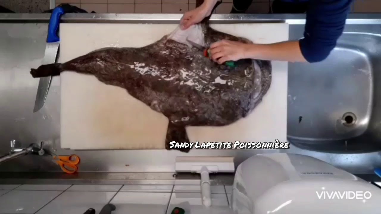 La Lotte Entière -The Whole Monkfish - YouTube