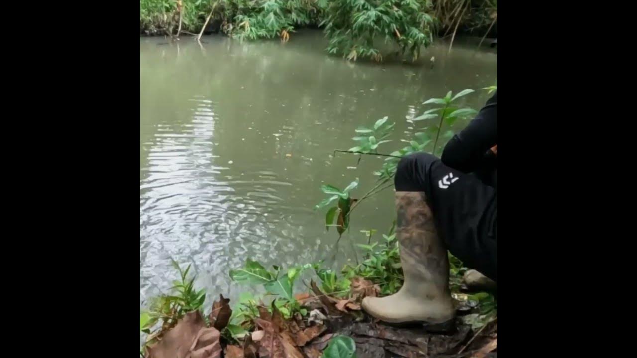 Strike wader.!! Teknik mancing kintiran di spot berarus deras - YouTube