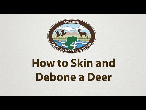 How To Pack Out A Deer - Deer Quartering & Deboning 2024