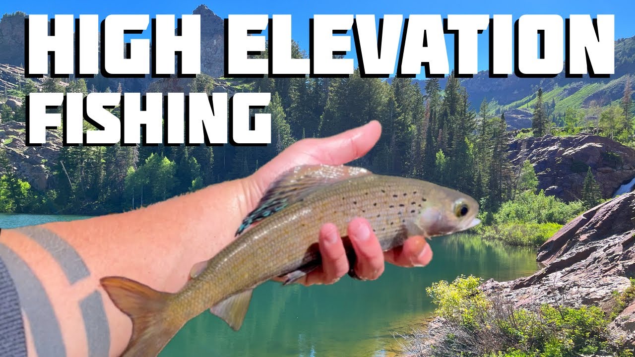 Fishing 3 High-Elevation Lakes for Grayling and Trout - YouTube