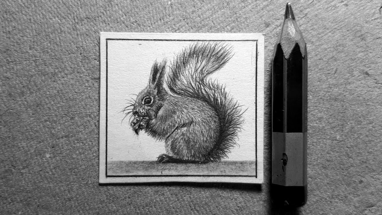 Squirrel Miniature Sketch | Realistic Drawing - YouTube
