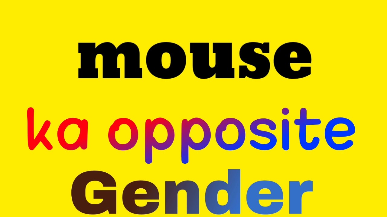 Mouse ka opposite gender | Mouse ka opposite word | opposite gender of ...