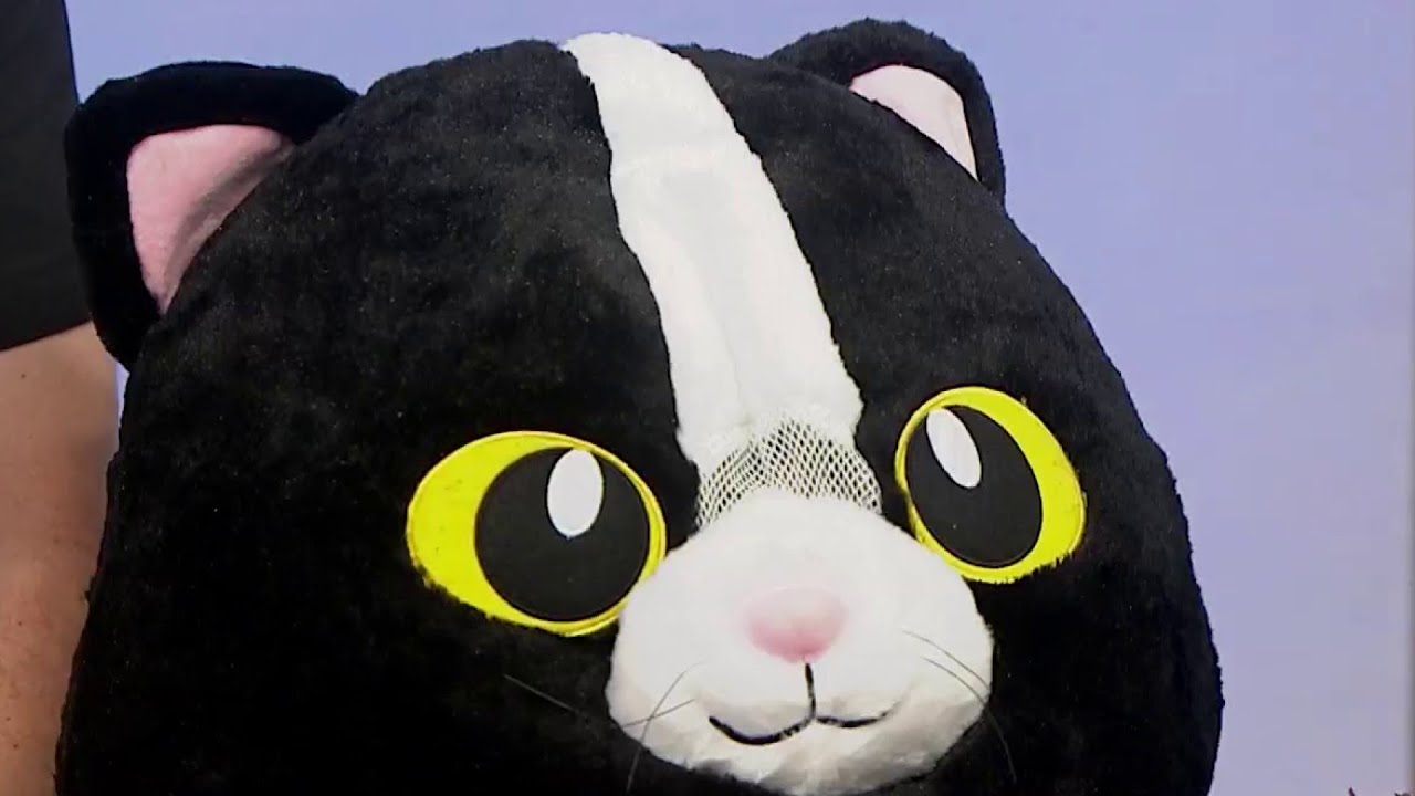 Pizza Cat Max opening in Ann Arbor: What to know - YouTube