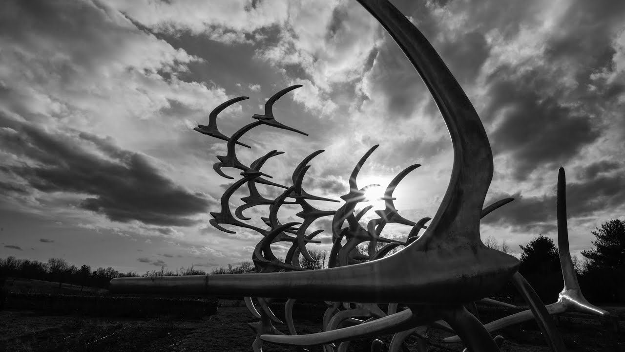 Dispacht Audio - CL-600-2B19 Regional Jet CRJ-100ER Comair, Delta ...