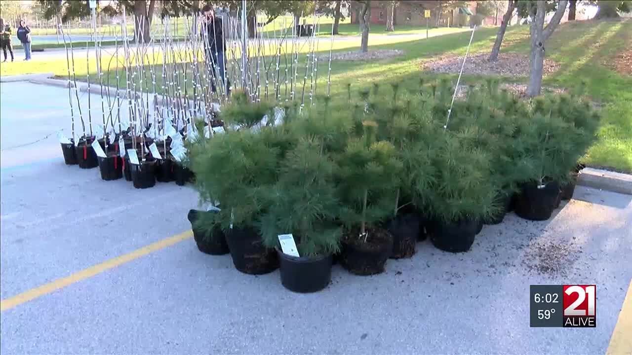 Tree Canopy Growth Fund, City of Fort Wayne partner to provide free ...