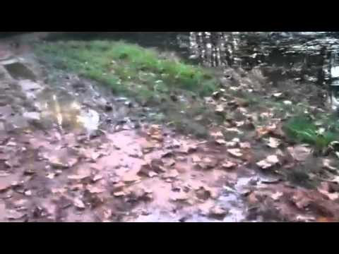 Pond Siphon - YouTube