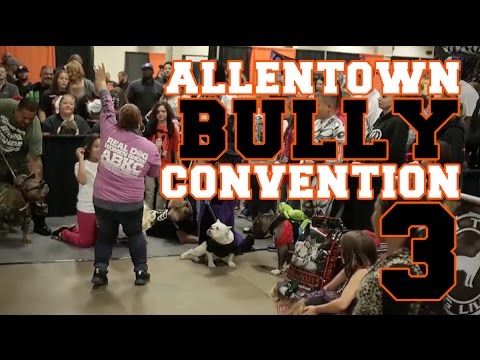 Halloween Bully Show | The Allentown Bully Convention 3 - YouTube