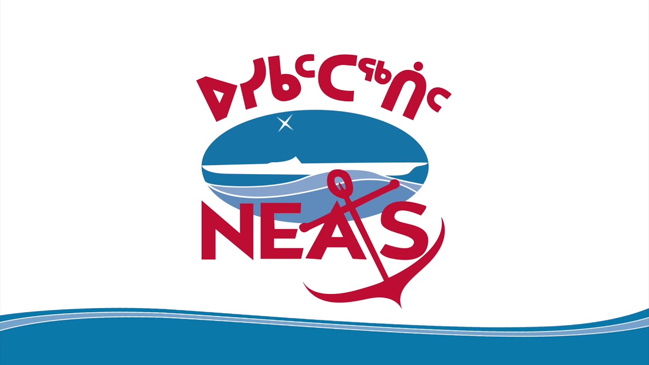 NEAS Corporate Video - Short version - YouTube