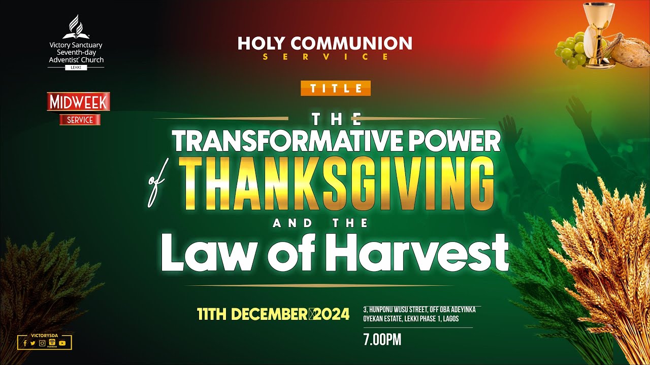 The Transformative Power of Thanksgiving and the Law of Harvest ...