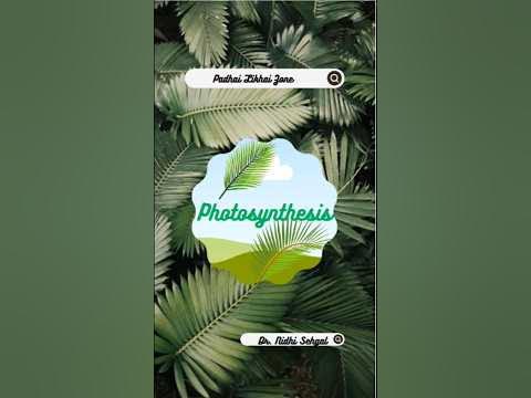 Unlocking the Secrets of Photosynthesis# education #biology # ...