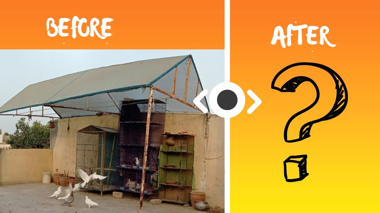 Making master cage for birds/master cage finally revealed - YouTube