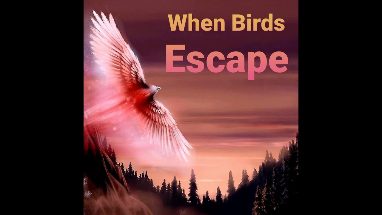 When Birds Escape (Original Song) - YouTube