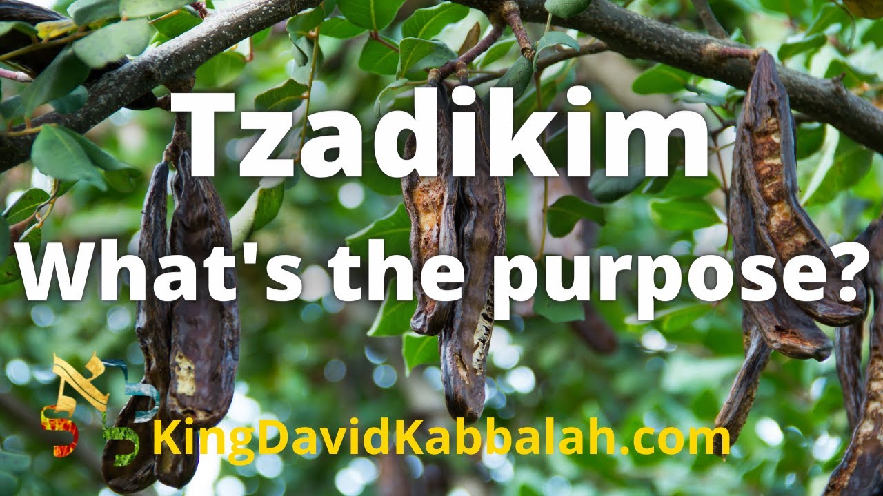 36 Hidden and 36 revealed Tzadikim , the number72 Question and Answers ...
