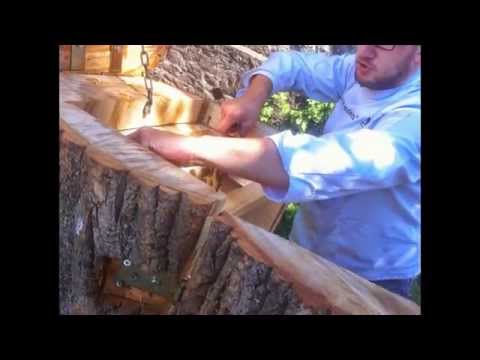 Bienenschaubaum auf dem Turmberg