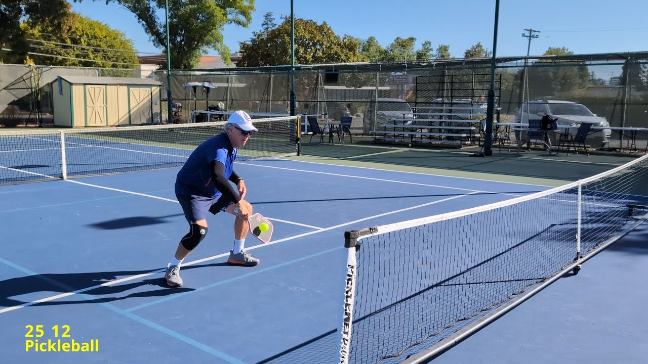 Roll Volley Drill Using Holbrook Pickleball Power Pro - 14mm paddle ...
