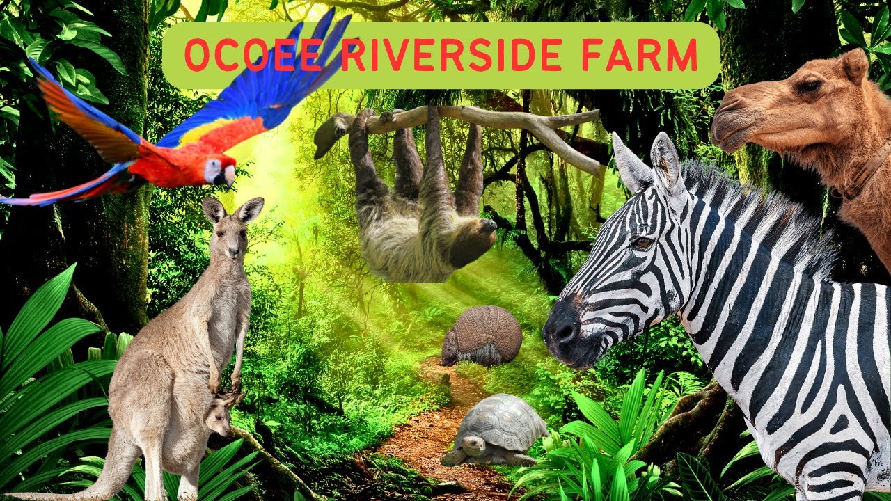 Tour of Ocoee Riverside Farm - YouTube