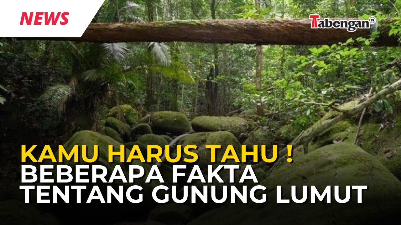 KAMU HARUS TAHU ! BEBERAPA FAKTA TENTANG GUNUNG LUMUT - YouTube