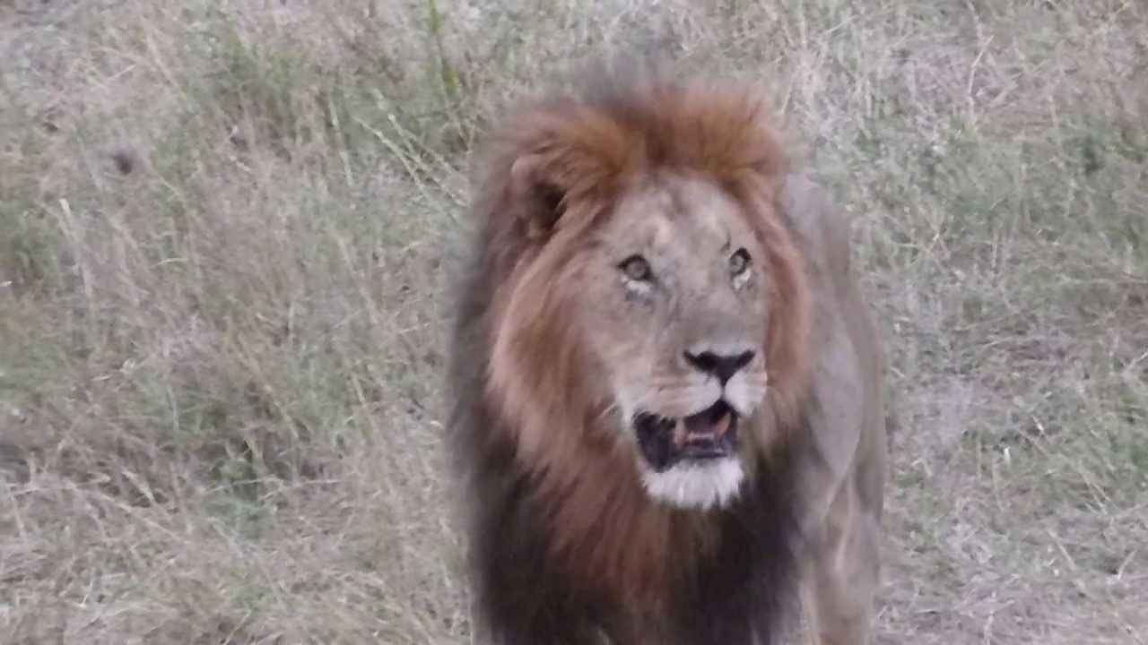 Notch Coalition - Ron in September 2013 - YouTube