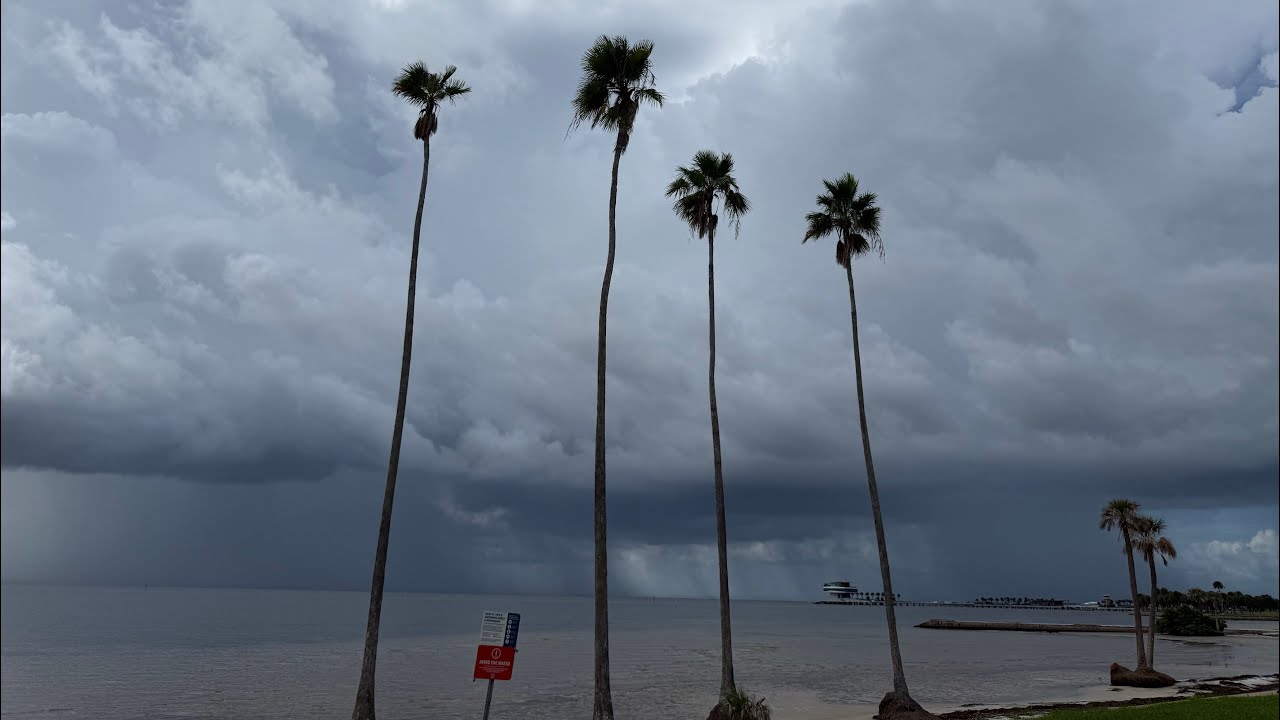 Heavy Rain Shower St. Petersburg Tampa Bay Florida North Shore Flora ...