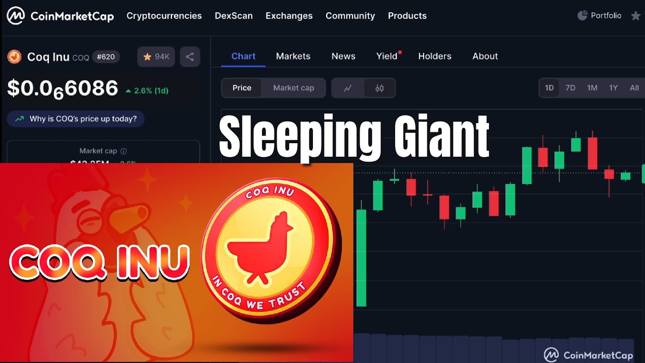 COQ INU Will 20x During Alt-season - YouTube