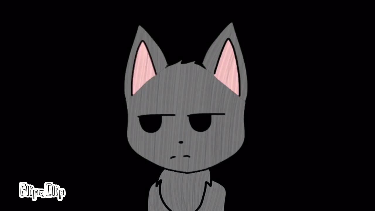Cat: FlipaClip Test - YouTube
