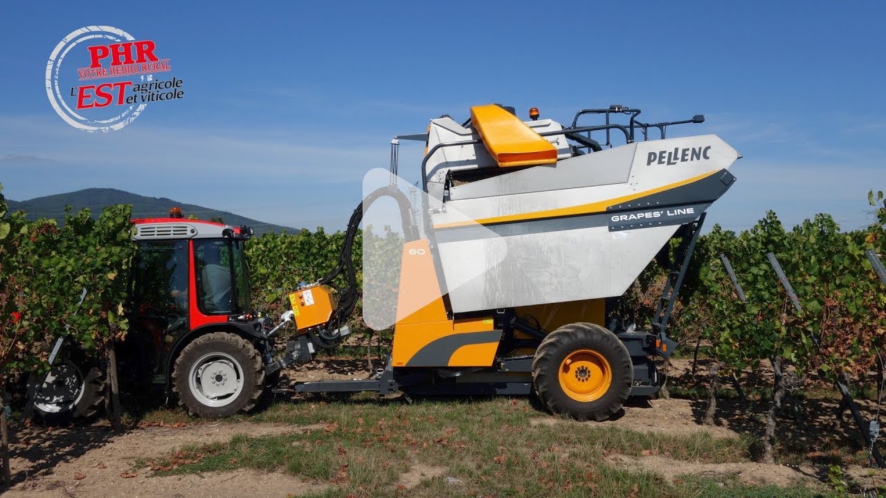 La machine à vendanger Grapes' Line de Pellenc en démonstration - YouTube