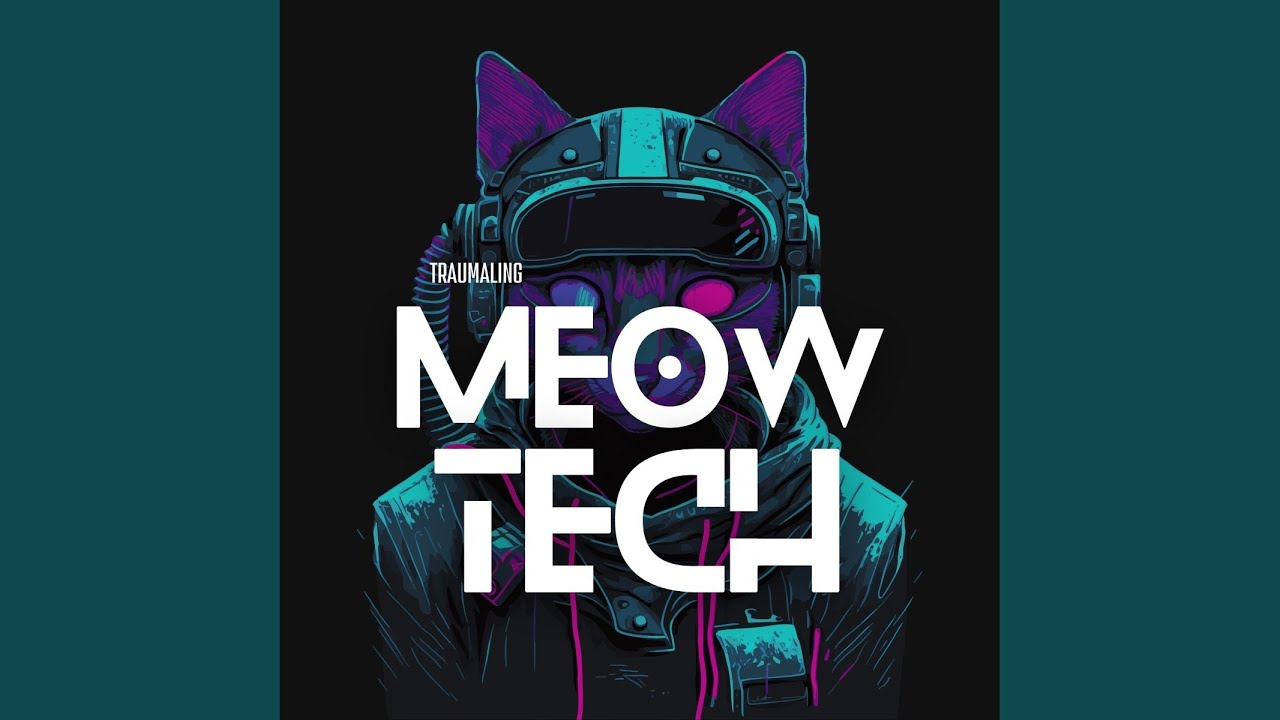 Meow Tech (Radio Edit) - YouTube