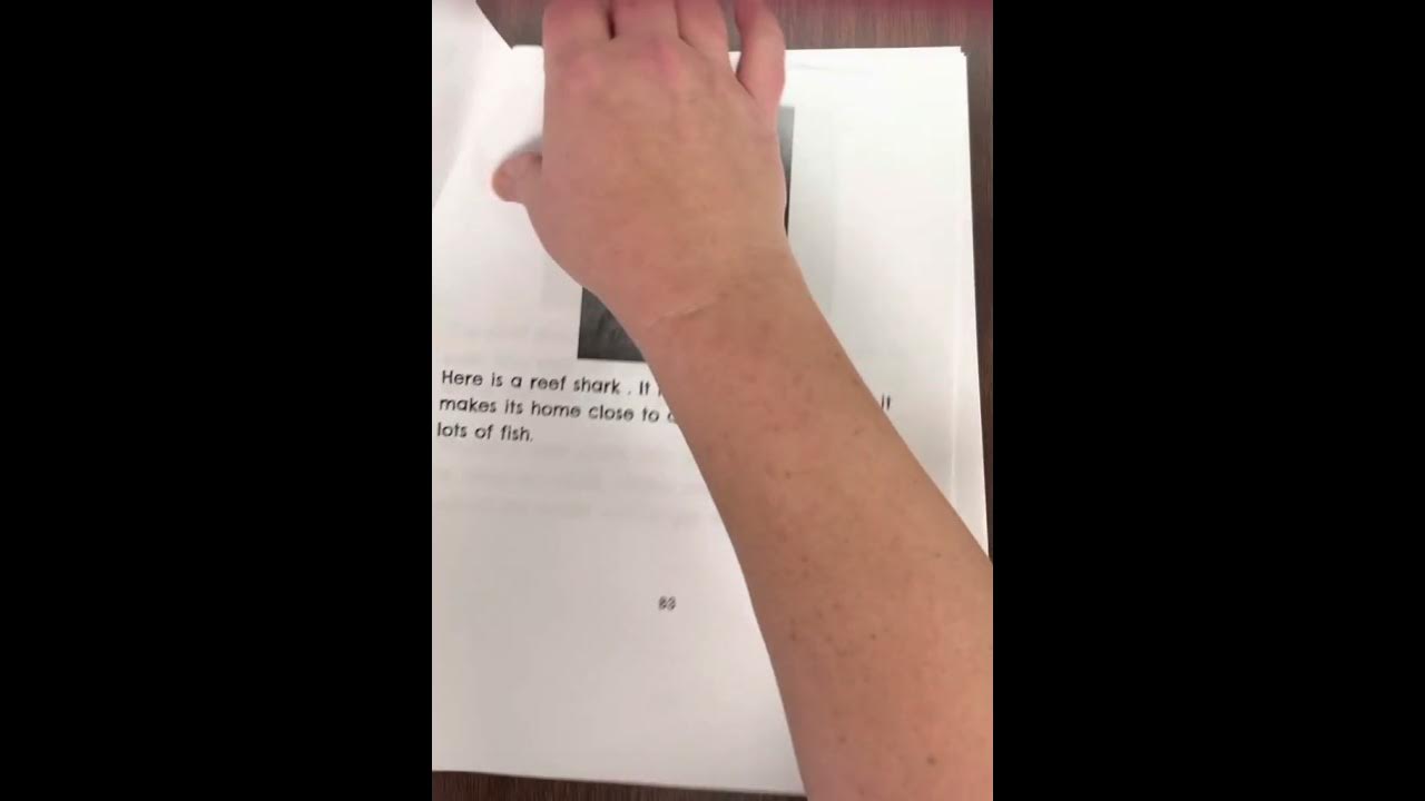 The Green Fern Zoo: Meet Vern and Things that Swim GROUP B - YouTube