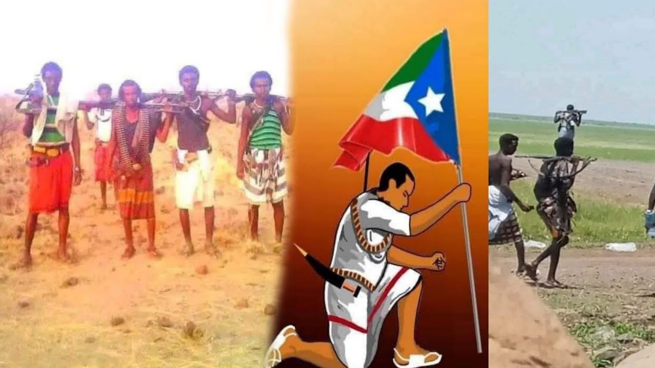 Guul tolkey Ciise wyne 💪 - YouTube