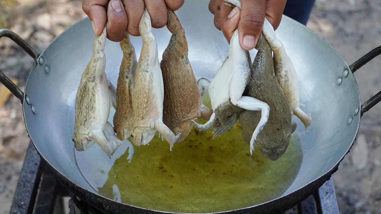The Best Crispy Buffalo Frog | Deep Fried Frog Recipe | Eating Buffalo ...