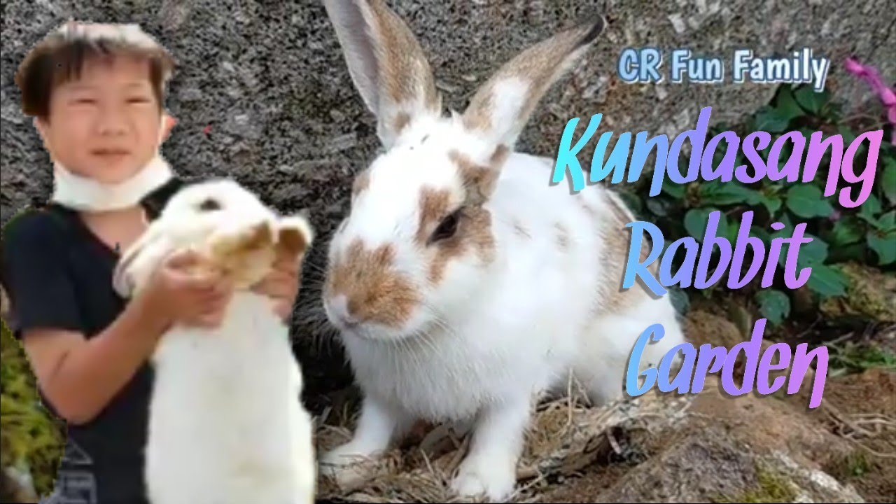 PALING BEST TAMAN ARNAB DI KUNDASANG | KELUARGA DIUTAMAKAN | D' Mesilau ...