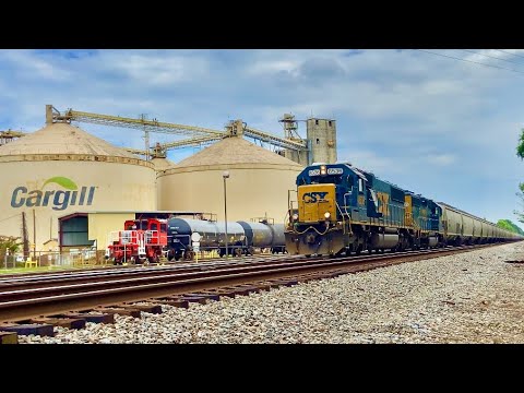 Rare bird SD50 #8563 leads F713 unit grain train to Cargill Fayetteville - YouTube