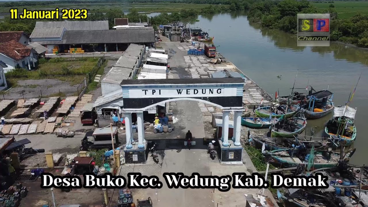 Tempat Pelelangan Ikan Wedung Kabupaten Demak - YouTube