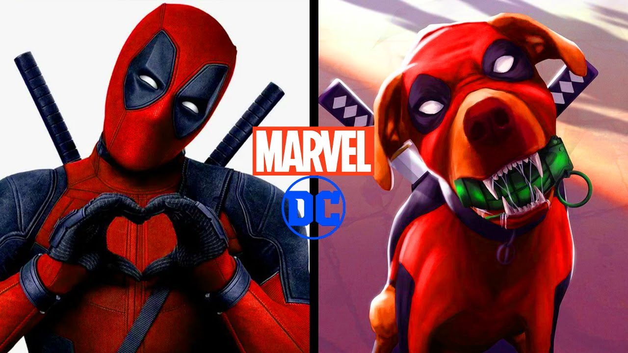 Superheroes In Real Life As Dogs - All Characters 2022 - YouTube