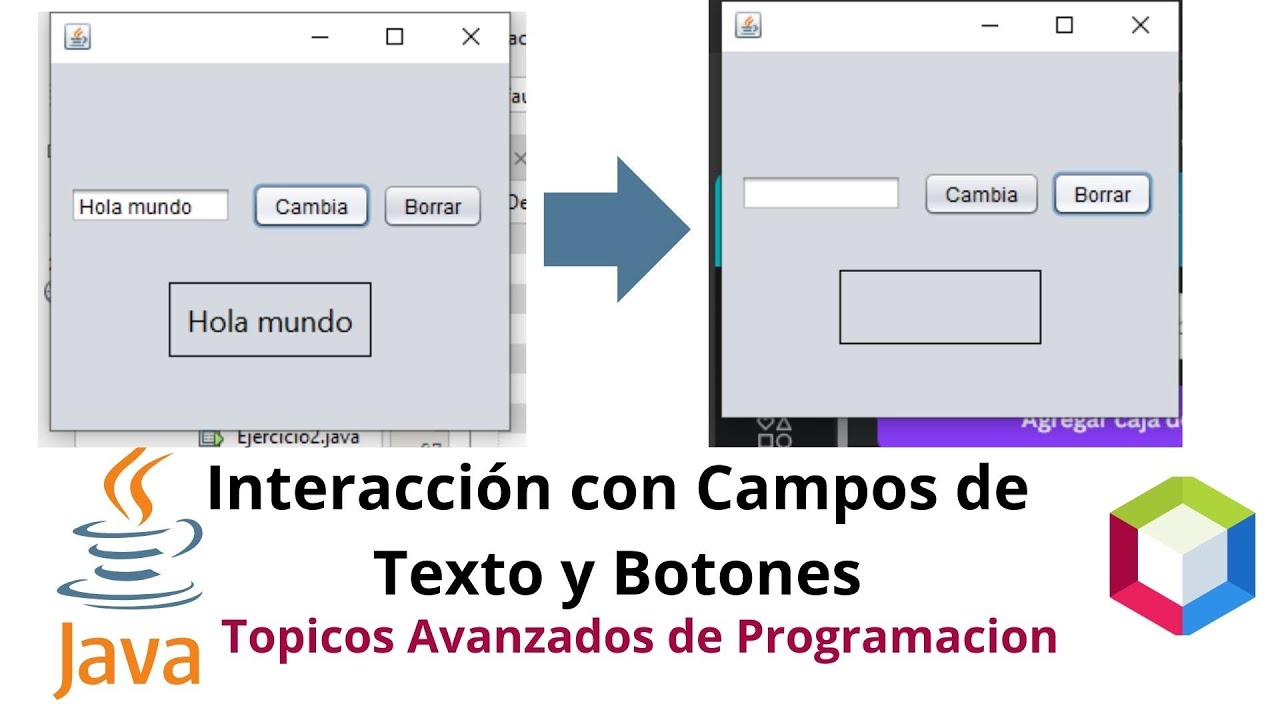 Interacción con Campos de Texto y Botones - YouTube