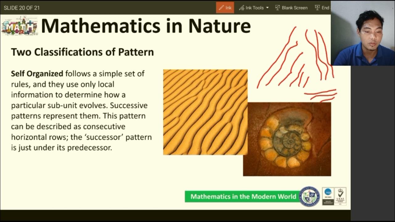 Chapter 1 - Mathematics in Nature: PATTERN | GE-MMW - Mathematics in ...
