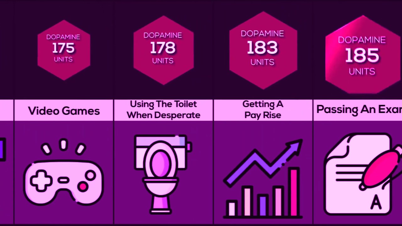 Comparison: Most Pleasurable things in Human || MrUniverse - YouTube