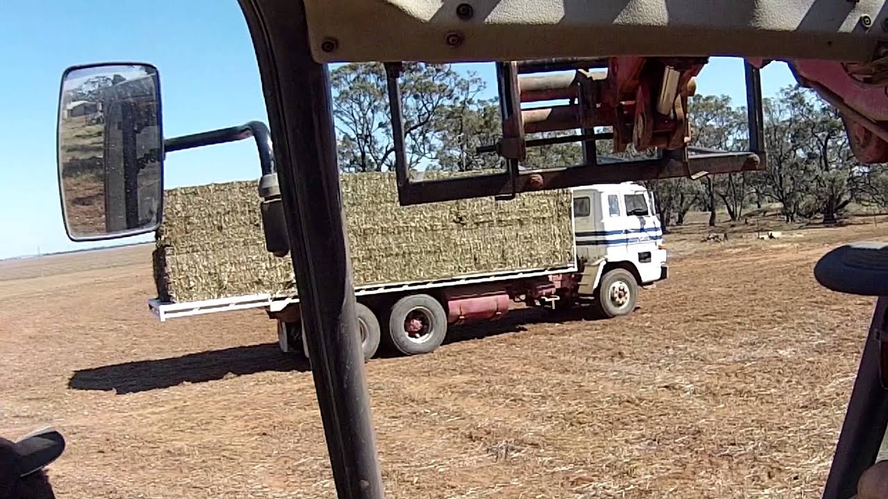 Stacking & Carting Vetch Hay - YouTube