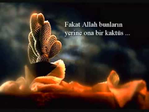 Faruk Ekin - Avare Gönlüm Biçare